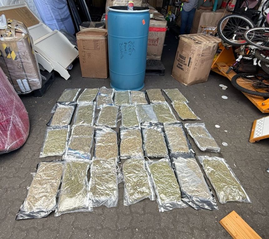 Arrestan Hombre Con 28 Paquetes De Marihuana En Puerto Haina Oriental